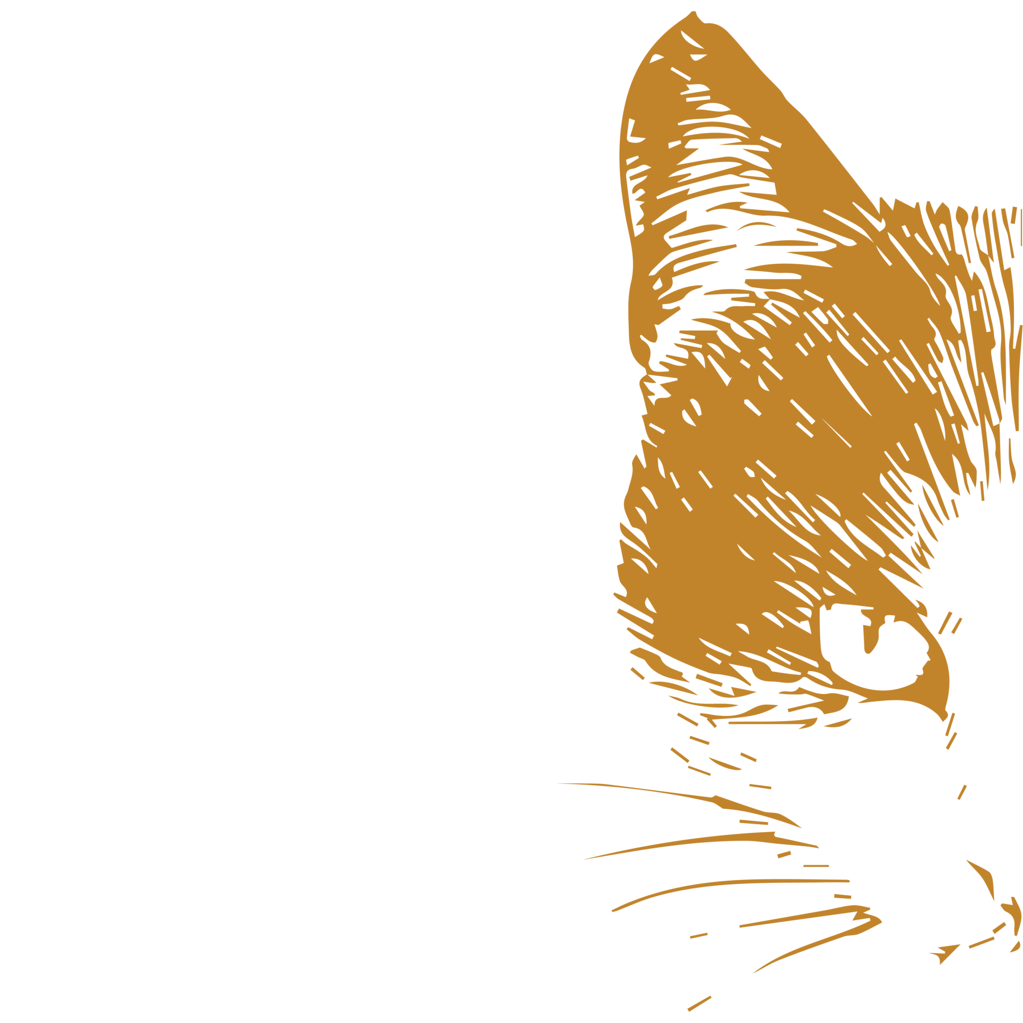 DOSC Restaurant | DOSC is a craft steakhouse, innovative cocktail bar ...